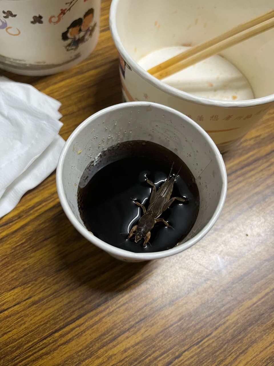 鑑定 鑑定 請問這是什麼蟲蟲 昆蟲板 Dcard
