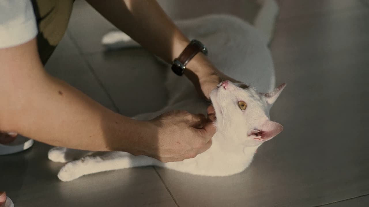 #泰腐 Absolute Zero 絕對零度 EP11 全劇透心得 - BL影視板 | Dcard