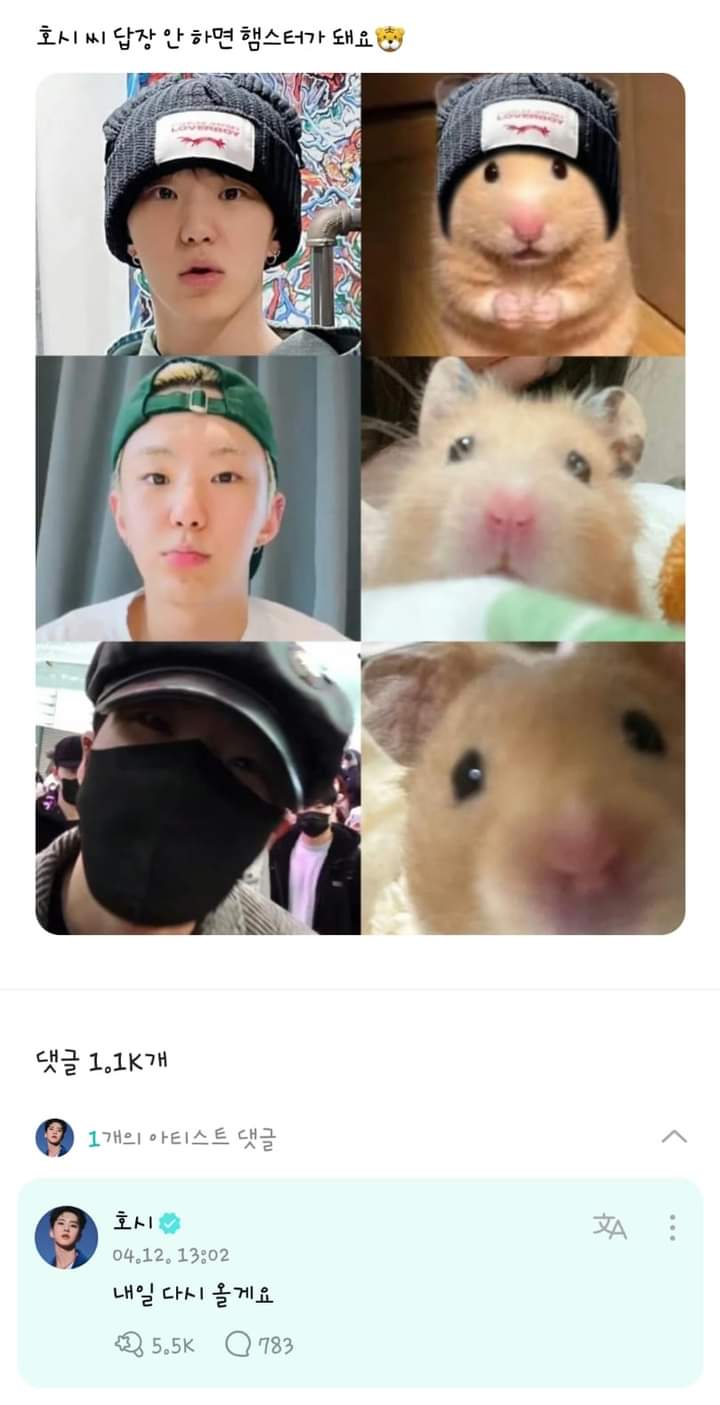 #分享 #分享 世界倉鼠日的權Hoshi - SEVENTEEN板 | Dcard