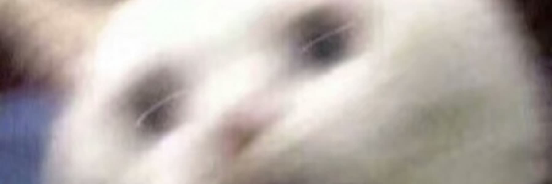 全家小女紙 (@fmgoddess) | Dcard