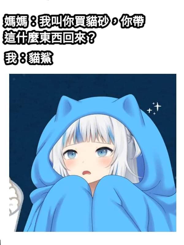 貓鯊 梗圖板 Dcard