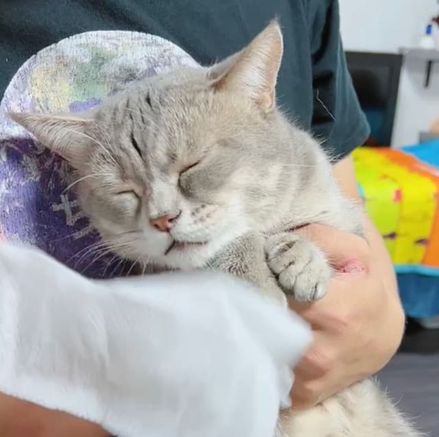 玩壁虎就要擦腳腳 - 搗灰的娘親 (@mm951113) | Dcard