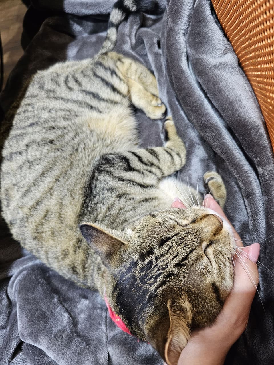 被「愛媽」告侵佔（文長） - B91 留言 | Dcard