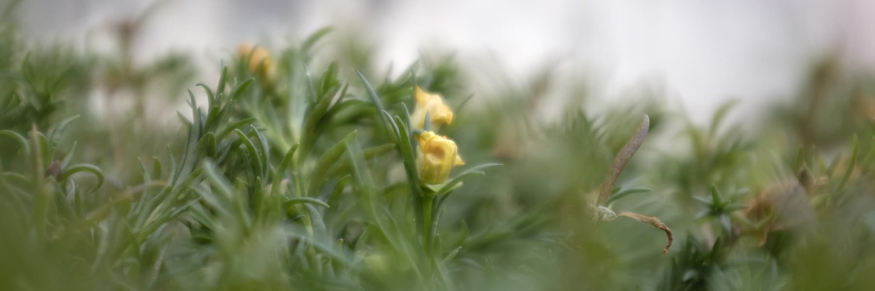 三聲玲二聲水 (@jing_yan) | Dcard