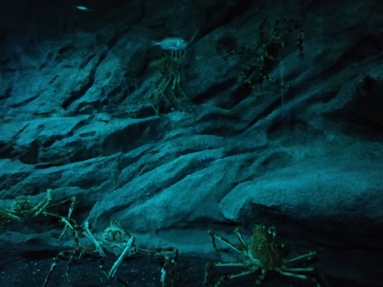 Xpark 照片分享 - 神隱少女 (@dory.fish) | Dcard