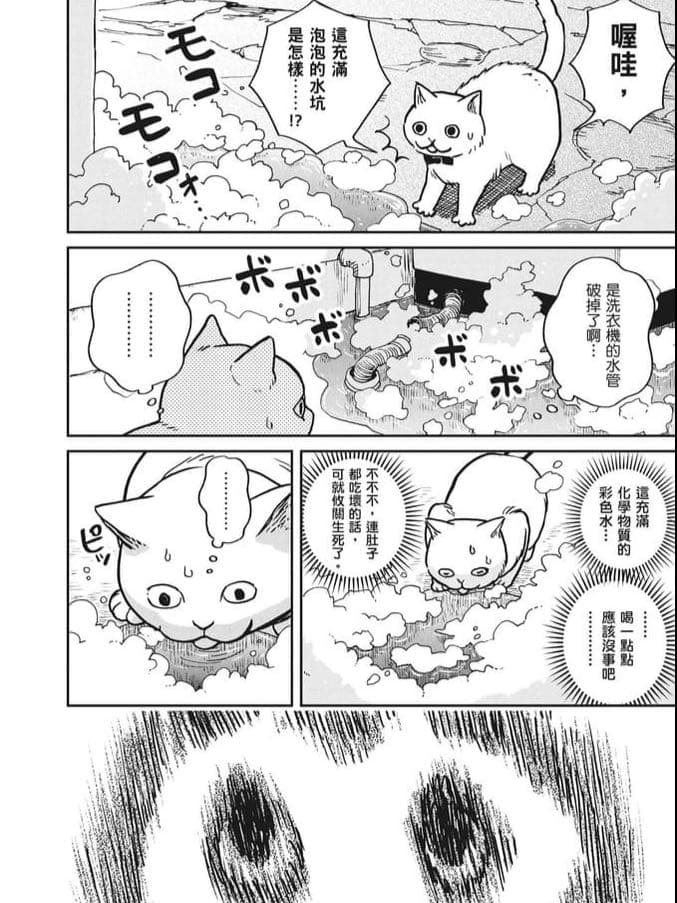 推一部貓咪漫畫>