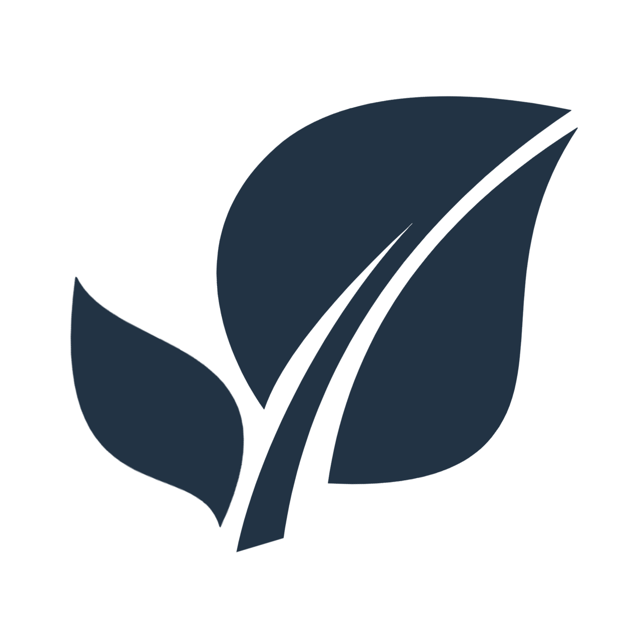 WeHelp 第五屆回顧：信念的總和 - 彭彭 (@cwpeng) | Dcard