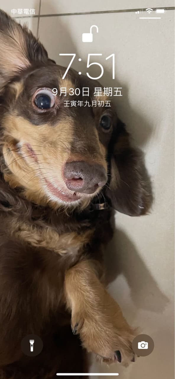 有沒有人要一起曬待機頁面 - B419 留言 | Dcard