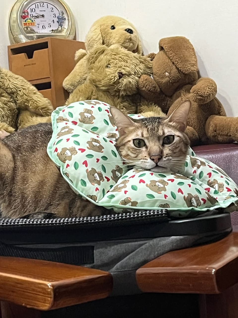 (已抽出)#文末抽獎 抽首圖🔥雙11買的Solone新品 - 美妝板 | Dcard