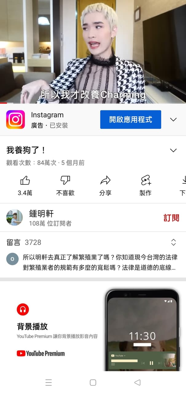 鍾明軒養狗後把貓送走 - B311 留言 | Dcard