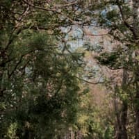 臭小子與大叔 (@ww__226) 的公開頁面 | Dcard