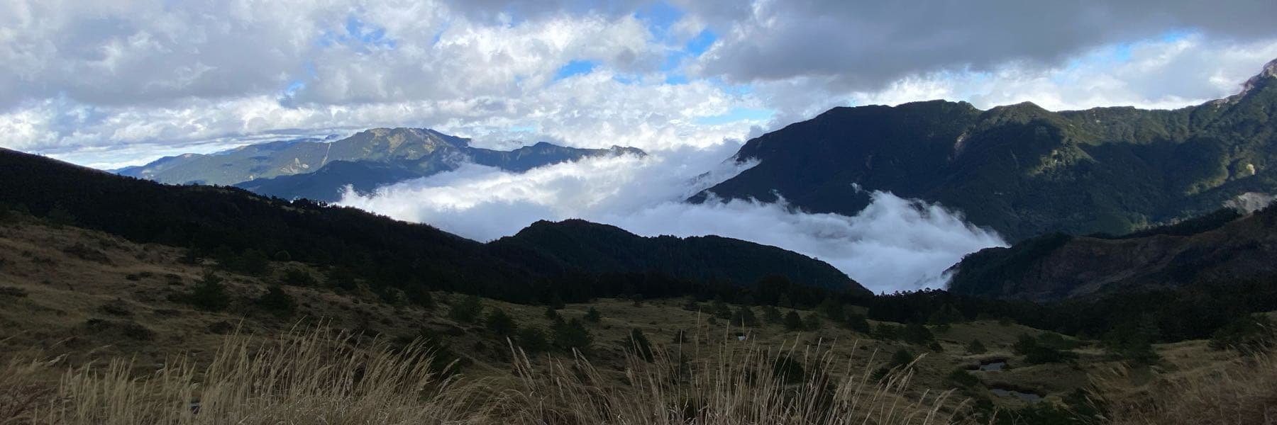 邁入中年的單身大嬸 (@sheila72) | Dcard