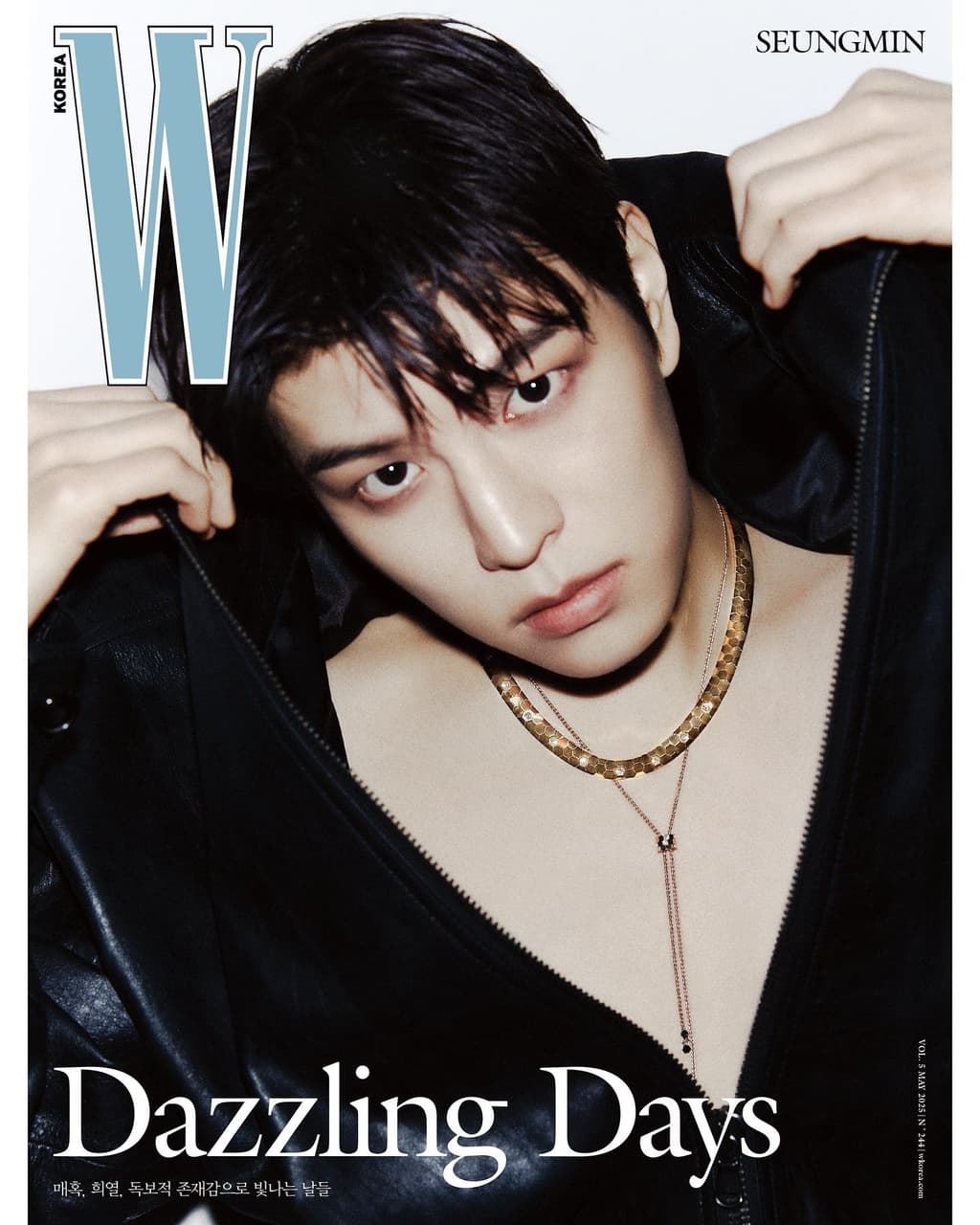 #分享 昇玟的 - Stray Kids板 | Dcard