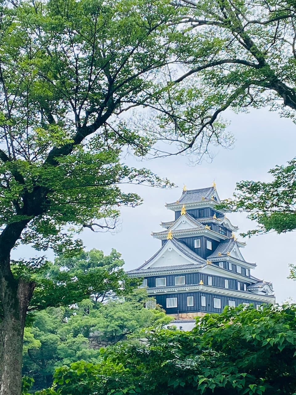 #國外 岡山6天5夜自由行分享 - 旅遊板 | Dcard