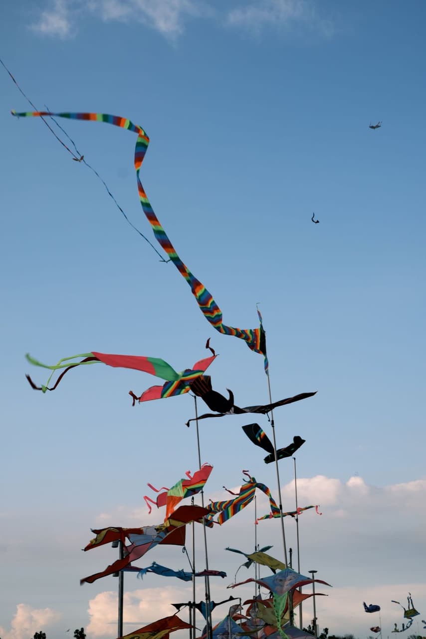 #作品 新手初拍 fujiflim X-S20 - 攝影板 | Dcard