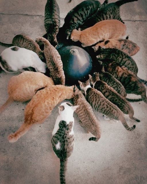 蘇 (@smiths_69) | Dcard