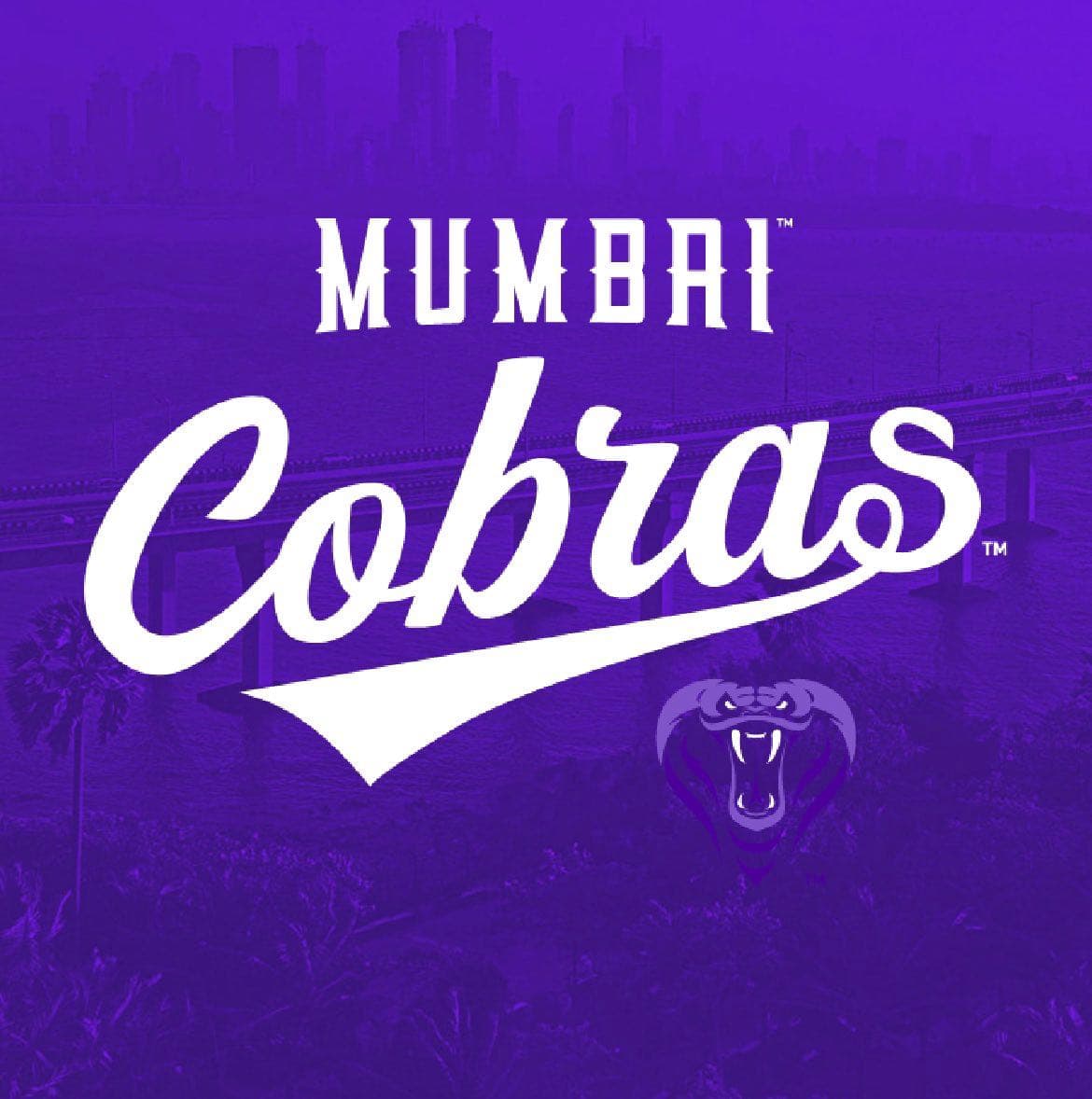 🇮🇳 印度首支職棒球隊出現！🇮🇳 - 棒球板 | Dcard