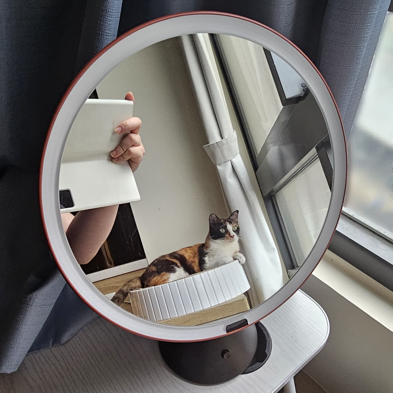 #分享 MUID 大圓鏡 化妝鏡使用心得 - 美妝板 | Dcard