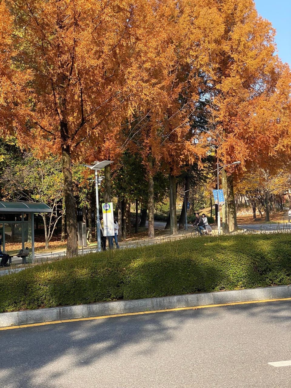 #整理 EXO日程🗓️ （11月更新） - B92 留言 | Dcard