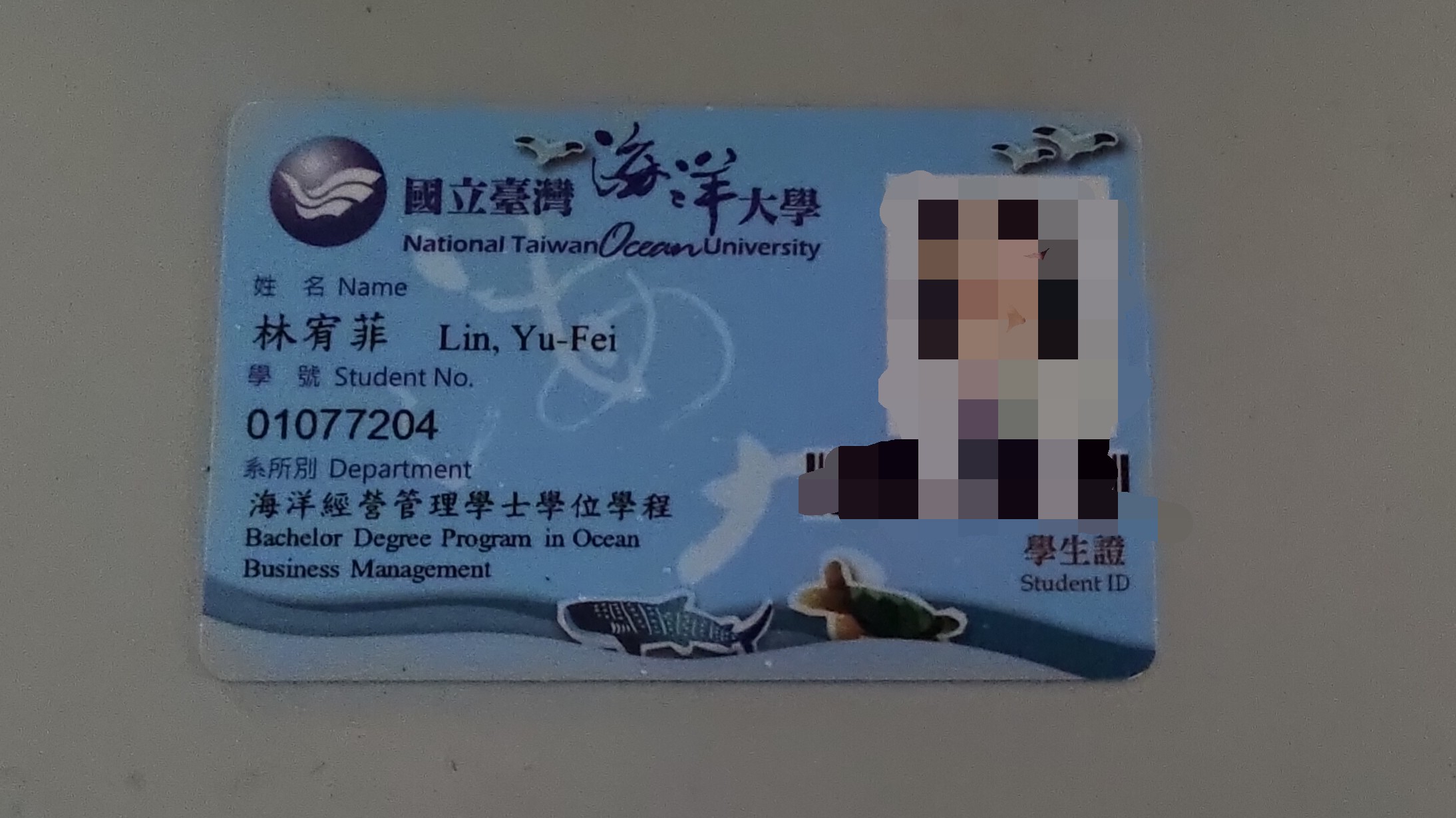 學生證 海洋大學板 Dcard