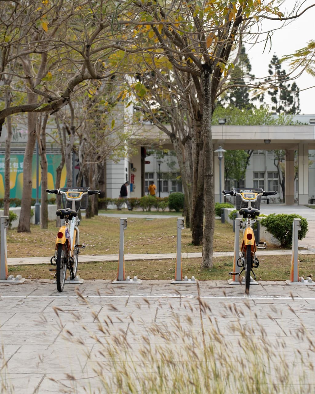 🏠嘉義咖啡廳懶人包。Ubike 2.0E初體驗🥰 - 維尼 (@bwfoodieh) | Dcard