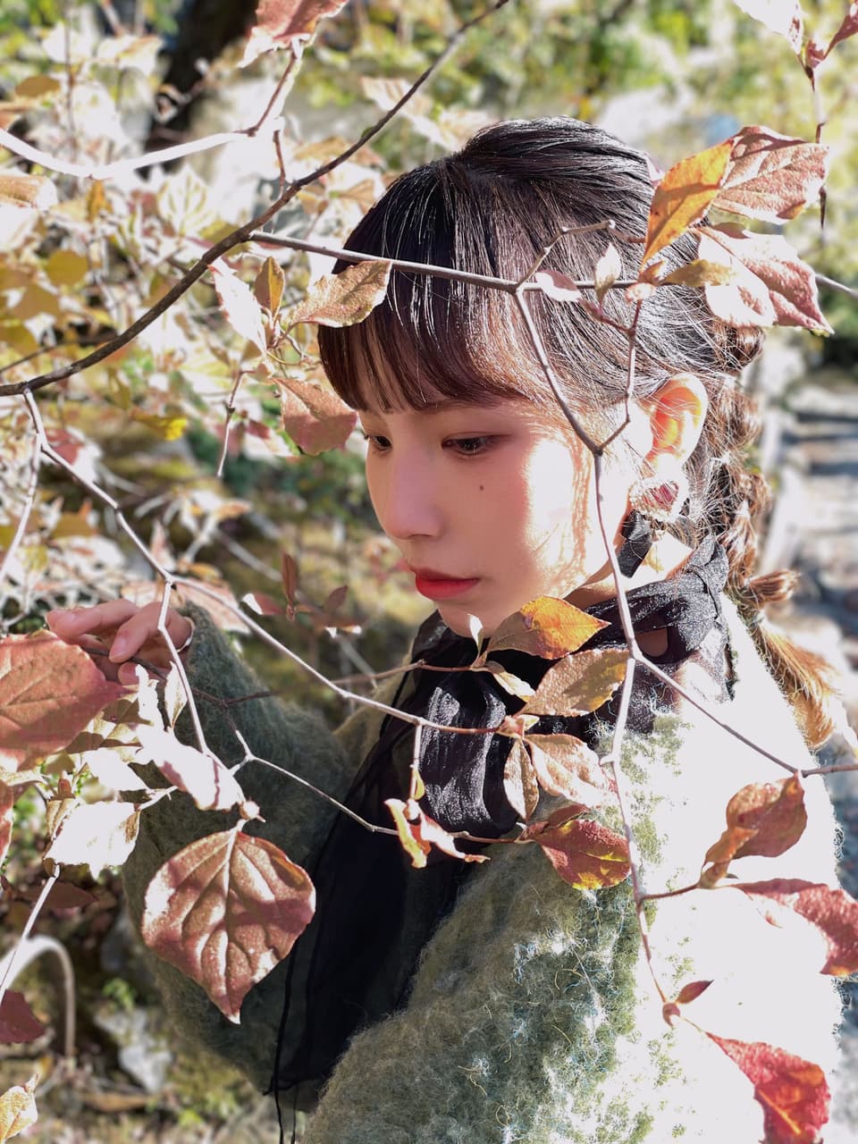 京都紅葉拍照技巧 - Zero (@hello00) | Dcard