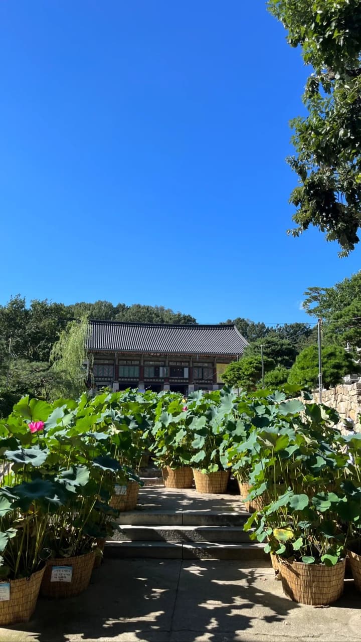 #更新 220827 雪娥、EXY、恩熙 IG 限時動態 - 宇宙少女板 | Dcard