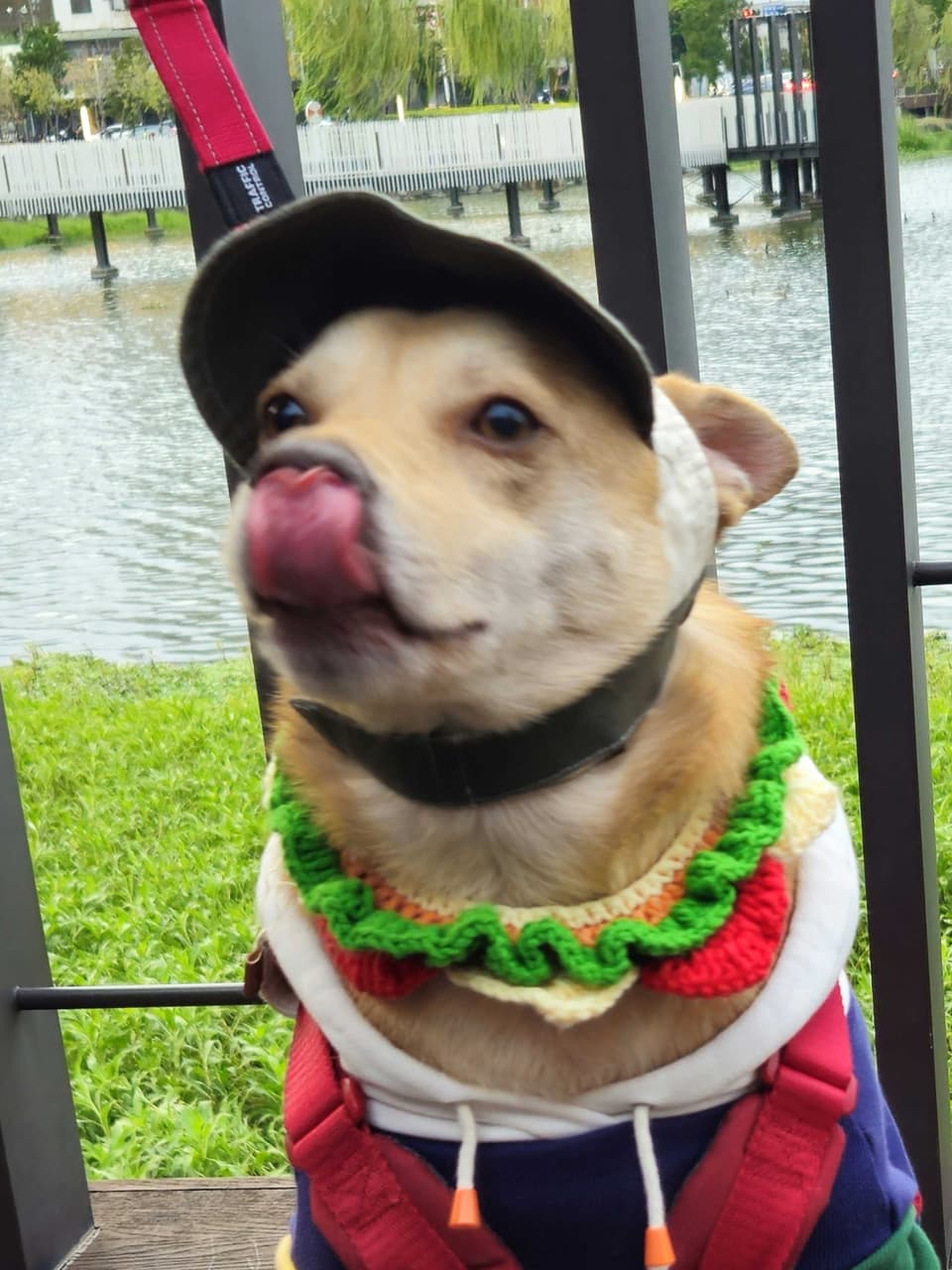 放假倒數：1 - 睡眠不足 (@eating_w) | Dcard