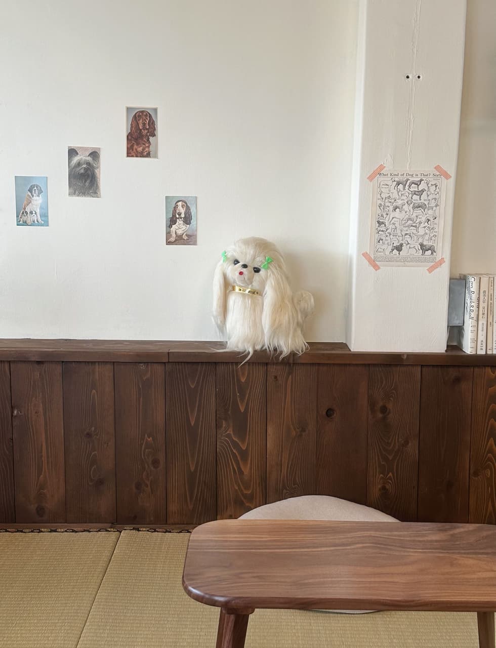 #推薦 超可愛的狗狗咖啡廳🐶wakamodog - 小野芮 (@cerise_2002) | Dcard