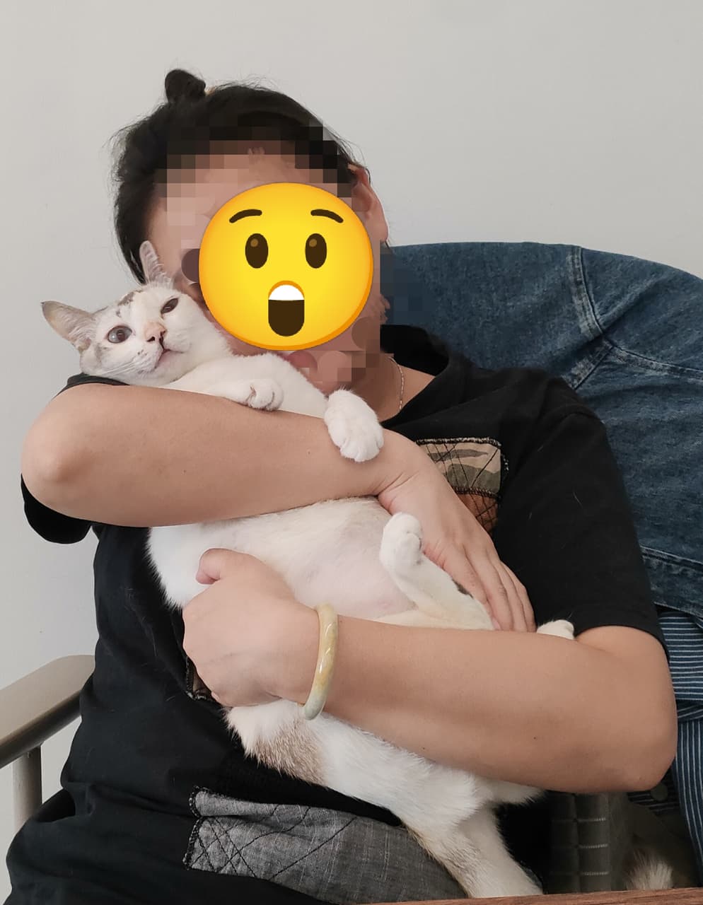 我本来是不信的… - MY_Pets板 | Dcard