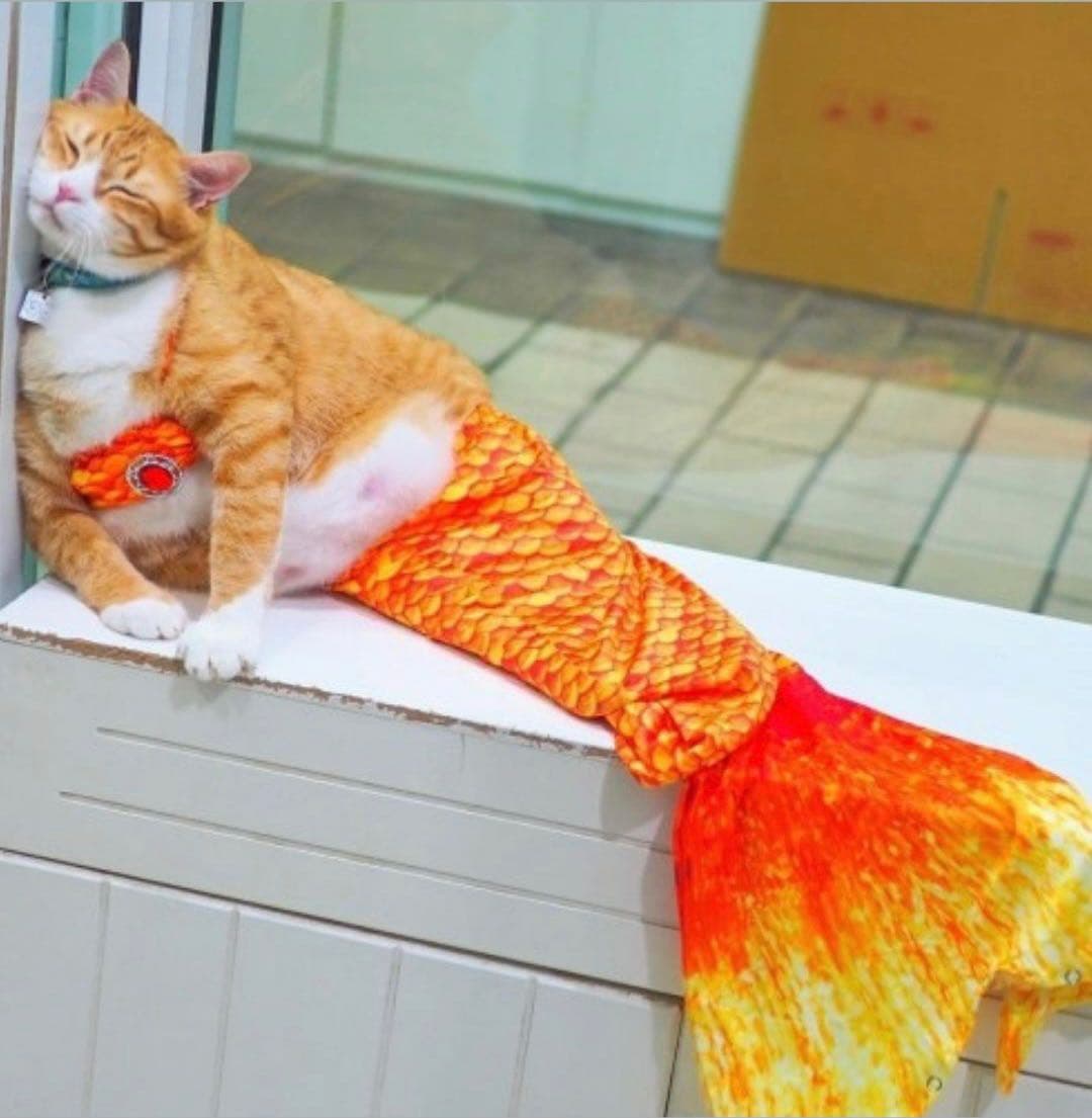 半年的異男忘⋯Part7 - 彩虹板 | Dcard