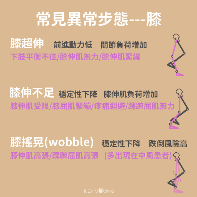 從走路看到身體的問題---站立中期 - 還有夢想的物理治療師 (@bo_soul) | Dcard