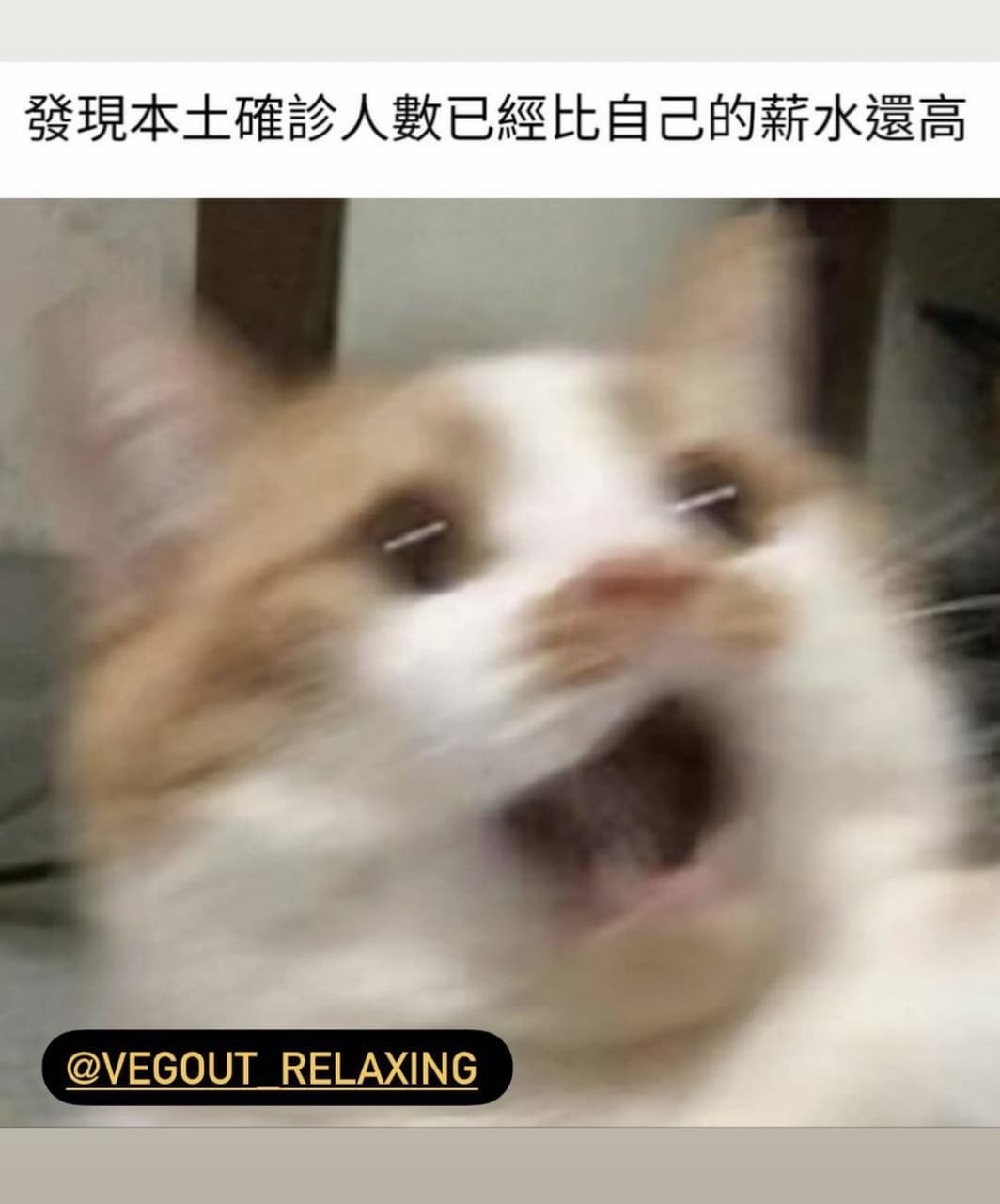 轉發 夢回 2021,看著看著就笑了,笑著笑著悲從中來⋯ 梗圖板 Dcard