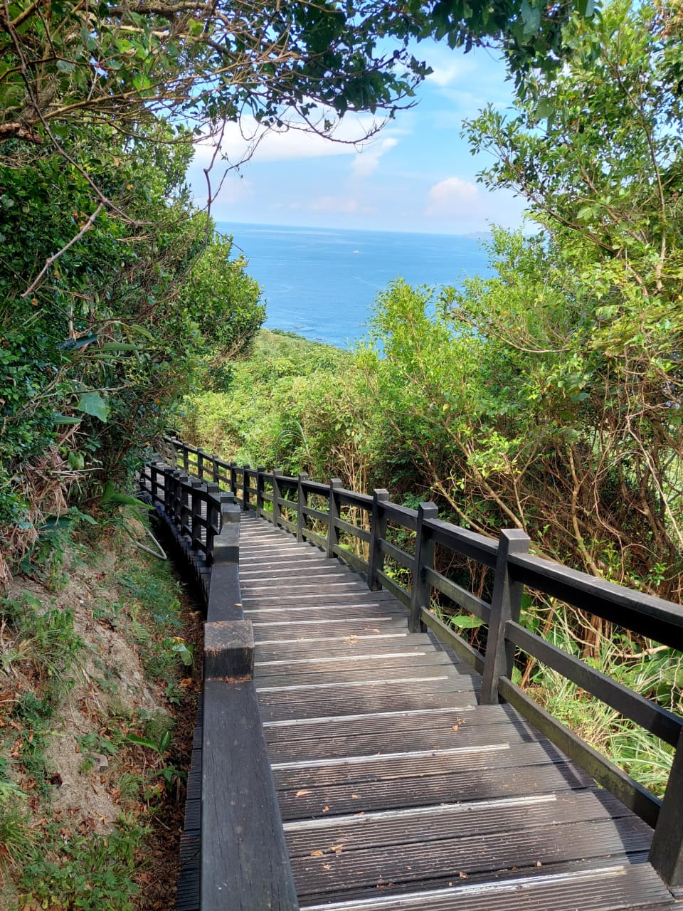 #郊遊型社團 #招募新社員 - 銘傳大學板 | Dcard