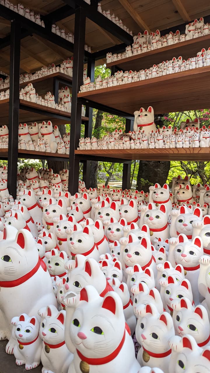 東京自由行 PART1 - 日本旅遊板 | Dcard