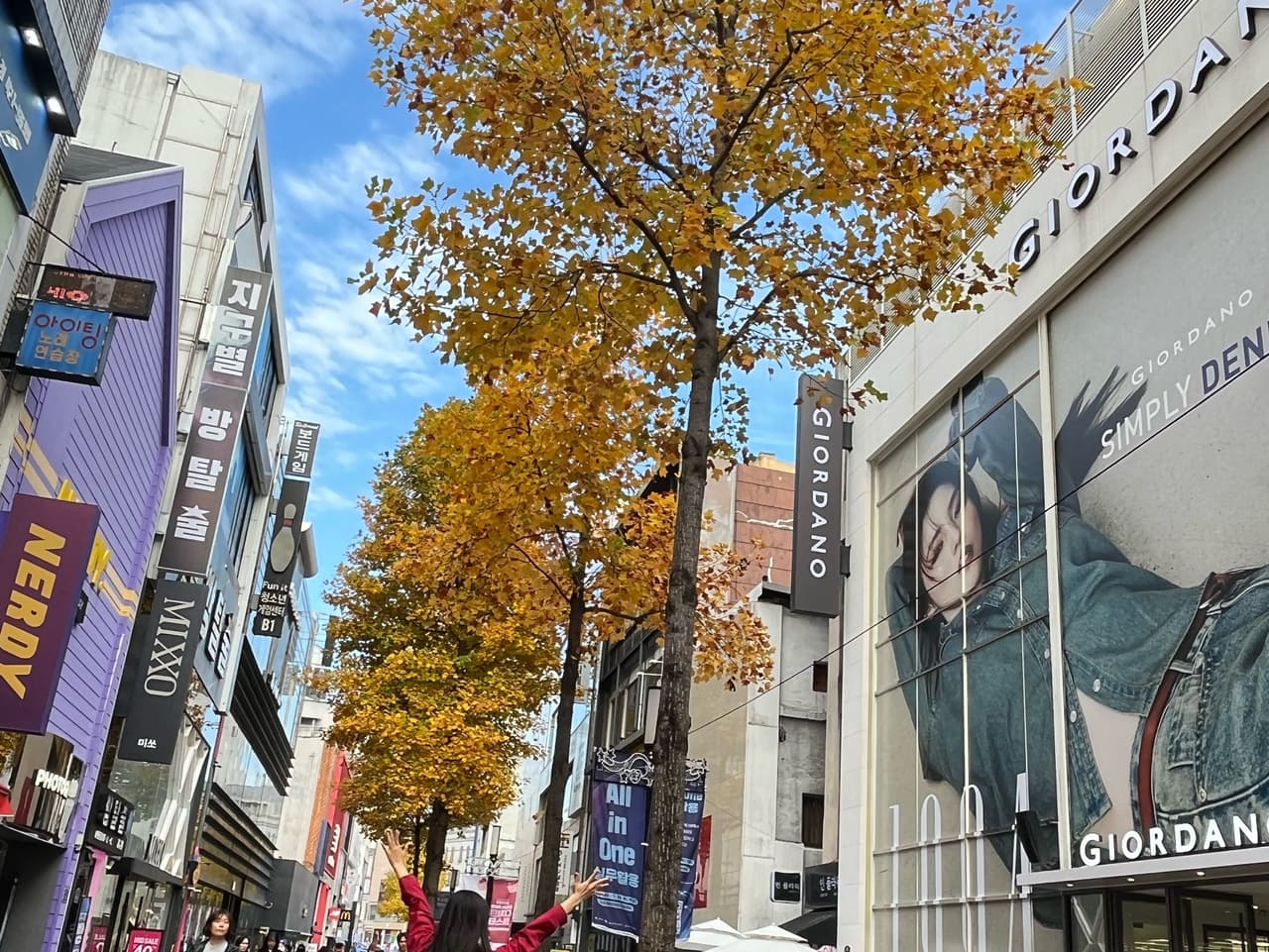 客家千金日常隨筆 (@im1dollar) | Dcard