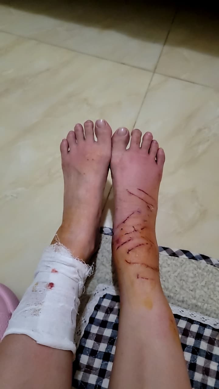 詢問貓咪行為（內有血腥照慎入） - B237 留言 | Dcard