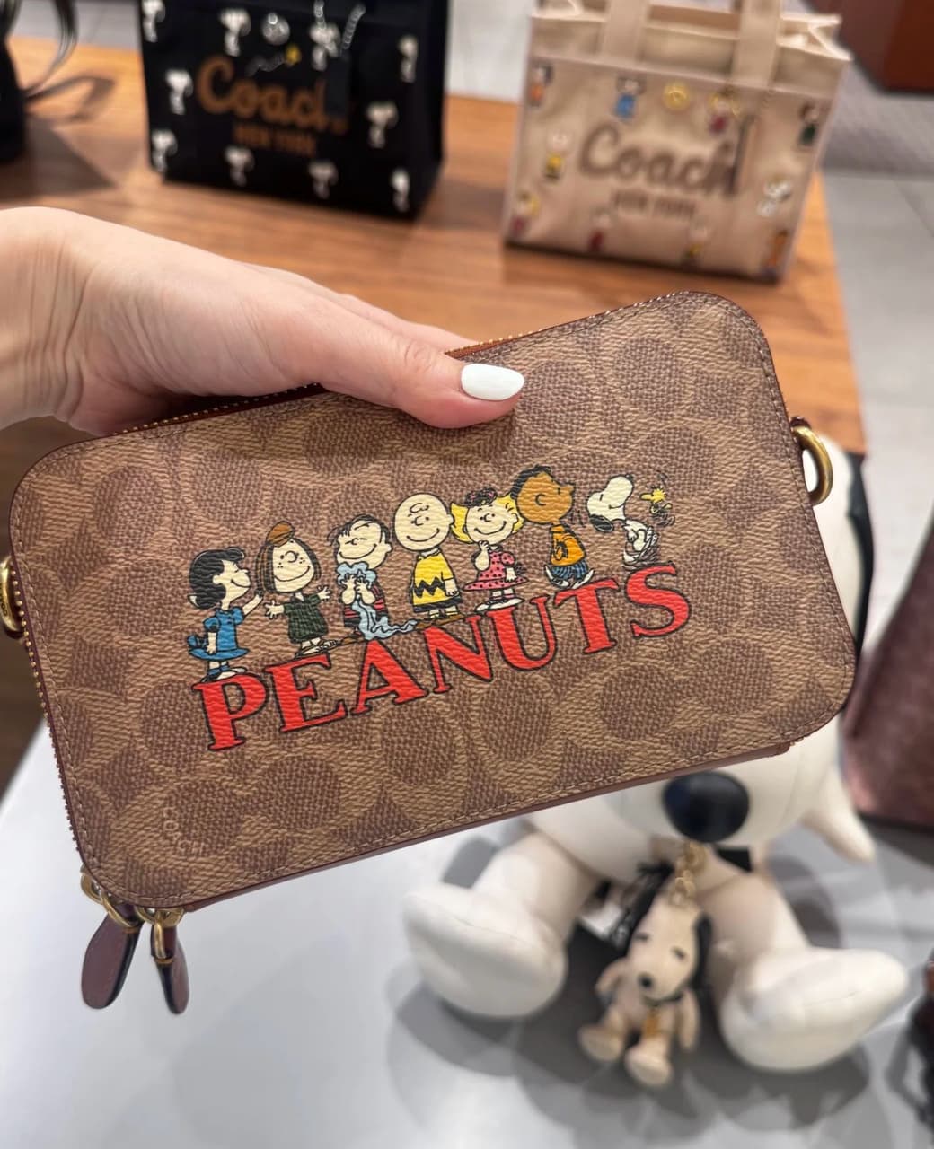 COACHx史努比PEANUTS聯名 - 安 (@hi_anan) | Dcard