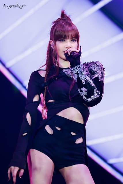 #分享 Lisa coachella 飯拍 （再更 - BLACKPINK板 | Dcard