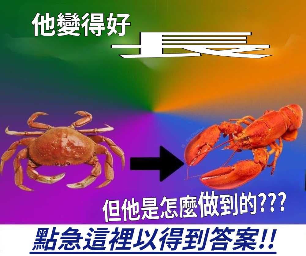 翻譯 🦀 ️🦞 梗圖板 Dcard