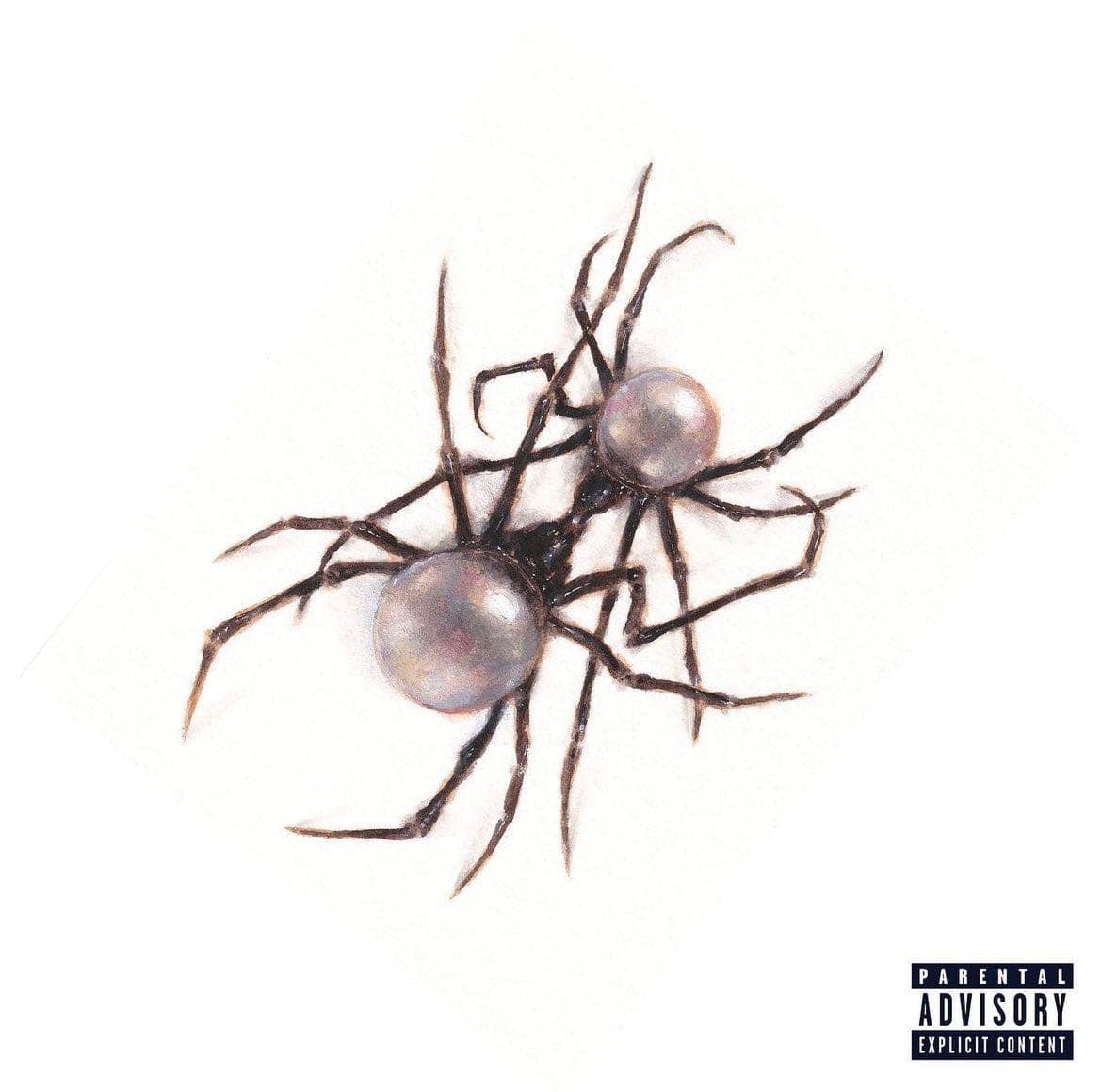 美國女歌手蜜桃貓朵佳 (Doja Cat) 全新第四張專輯《Scarlet》，呈現最真實的自己！ - Ricky (@ricky.cheng) | Dcard