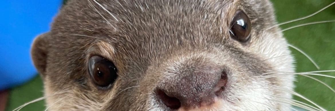 なゆ (@wannayoo) | Dcard