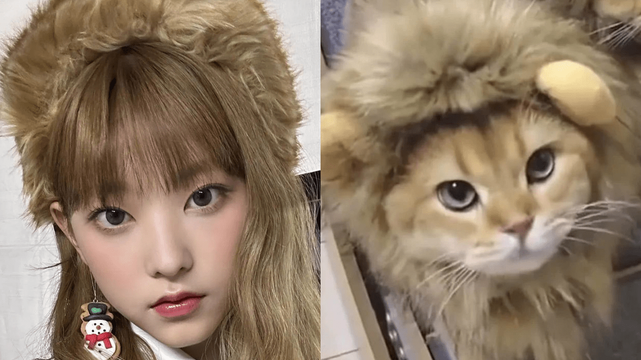 #閒聊 很像貓咪的女偶像Haerin😻求圖分享>