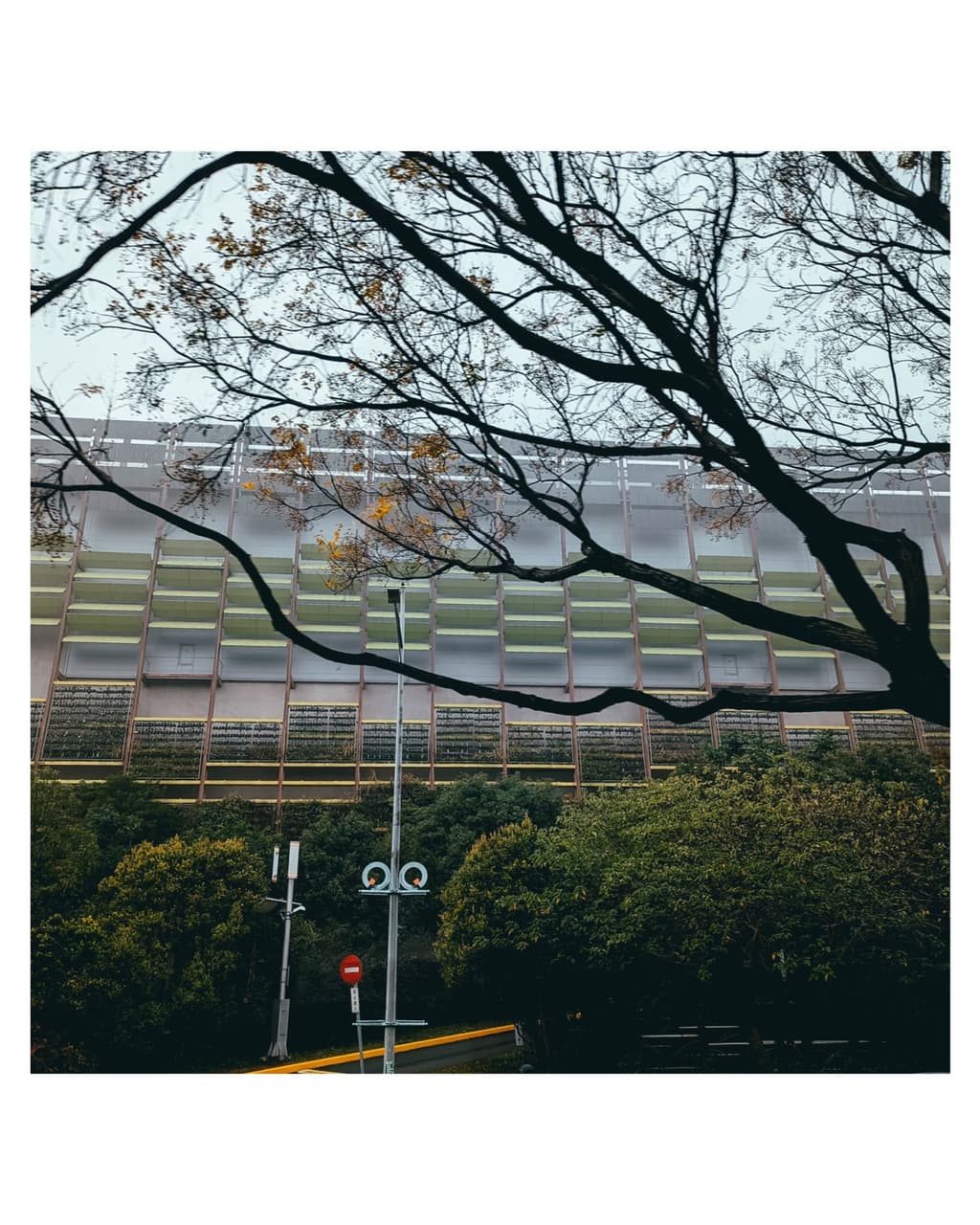 #教學 手機就能完成照片調色？Lightroom入門篇 - 攝影板 | Dcard