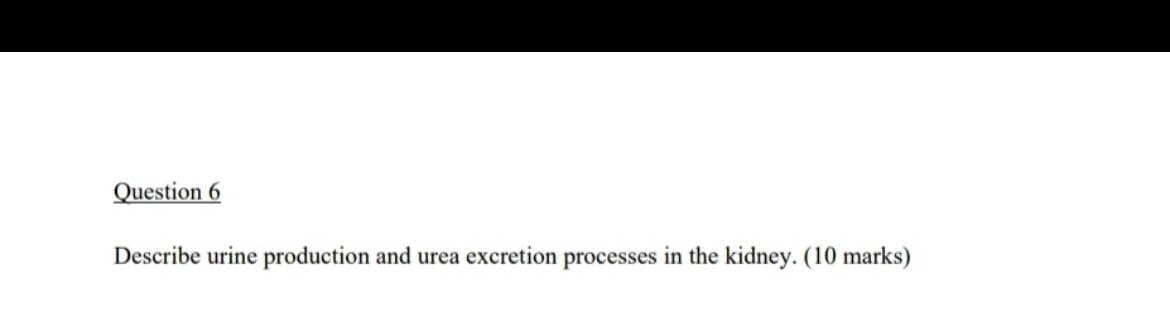 N110F - 香港都會大學板 | Dcard