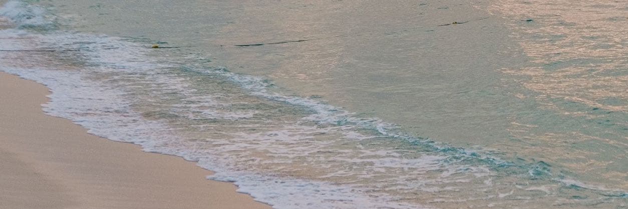 66🐰 (@leisurely_sea) | Dcard