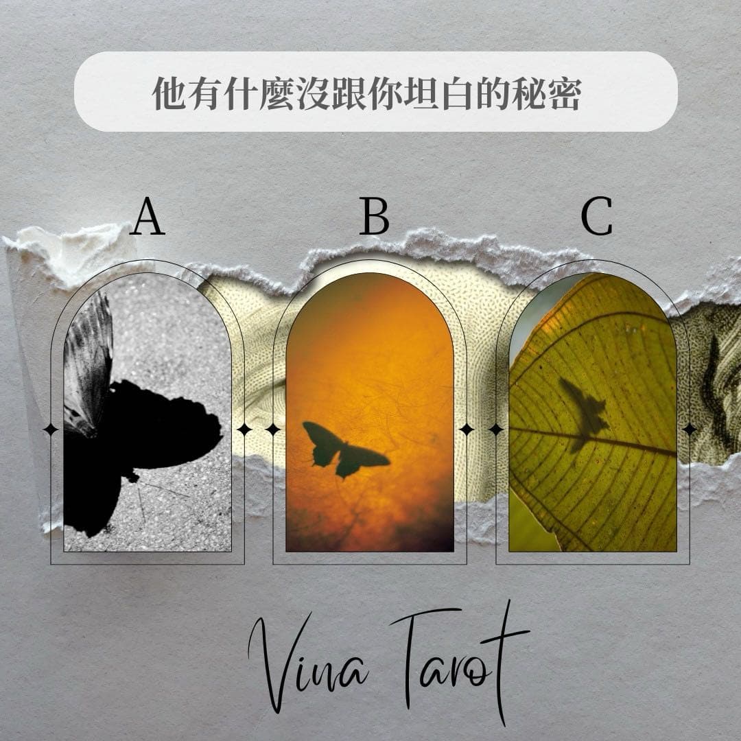 他有什麼沒跟你坦白的秘密（附解答） - 畏娜塔羅 (@vinatarot) | Dcard