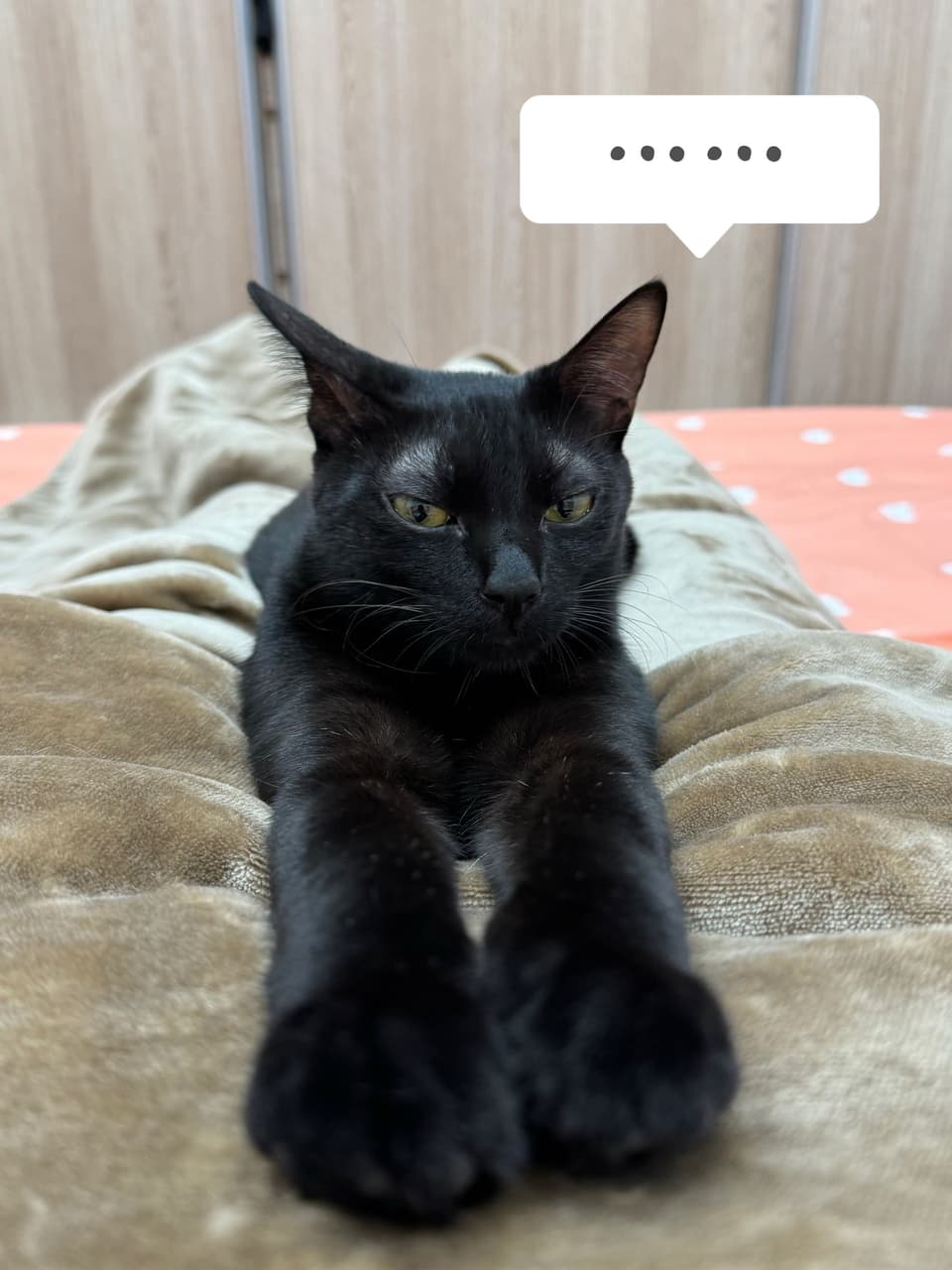 媽就是個工具人😌 - 曬貓板 | Dcard