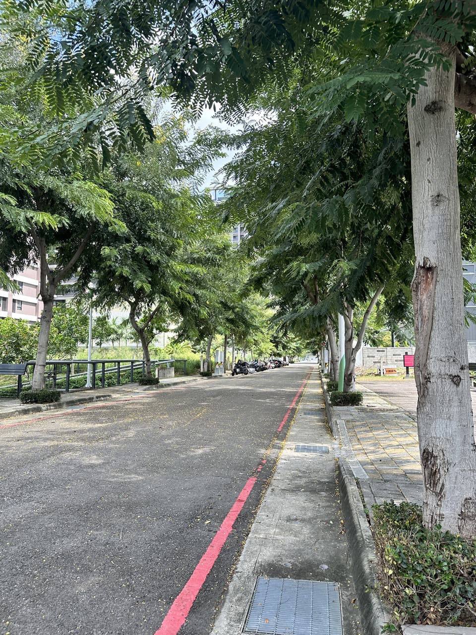 #懷孕 #分享 維他命D不足，數值終於正常了！ - 親子板 | Dcard