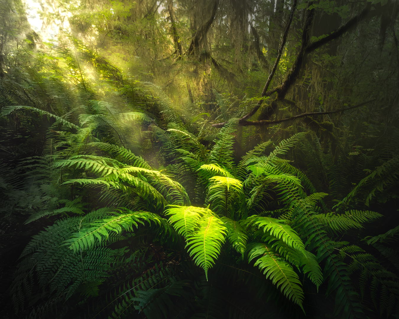 #教學 #教學 風景攝影入門 (5)：Pre-visualization 預視 - 攝影板 | Dcard